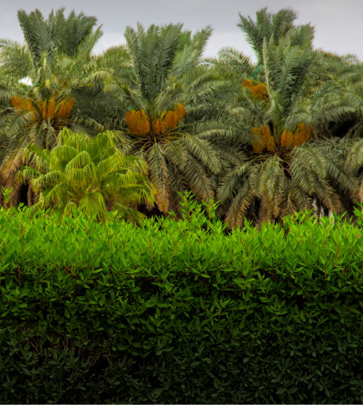 Gerbou Dubai: A Fusion of Tradition & Innovation