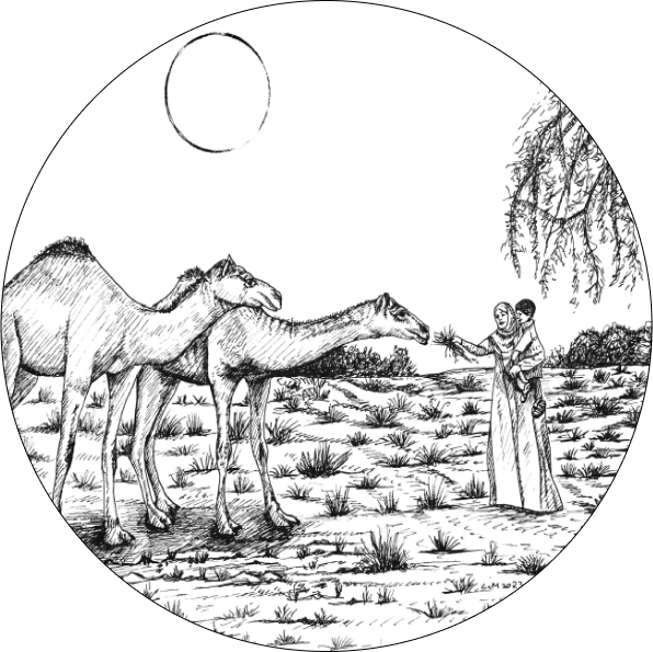 Design Story - Gerbou