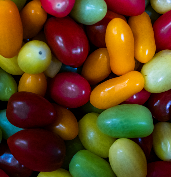 Sustainably Sourced Locally Farms - Gerbou